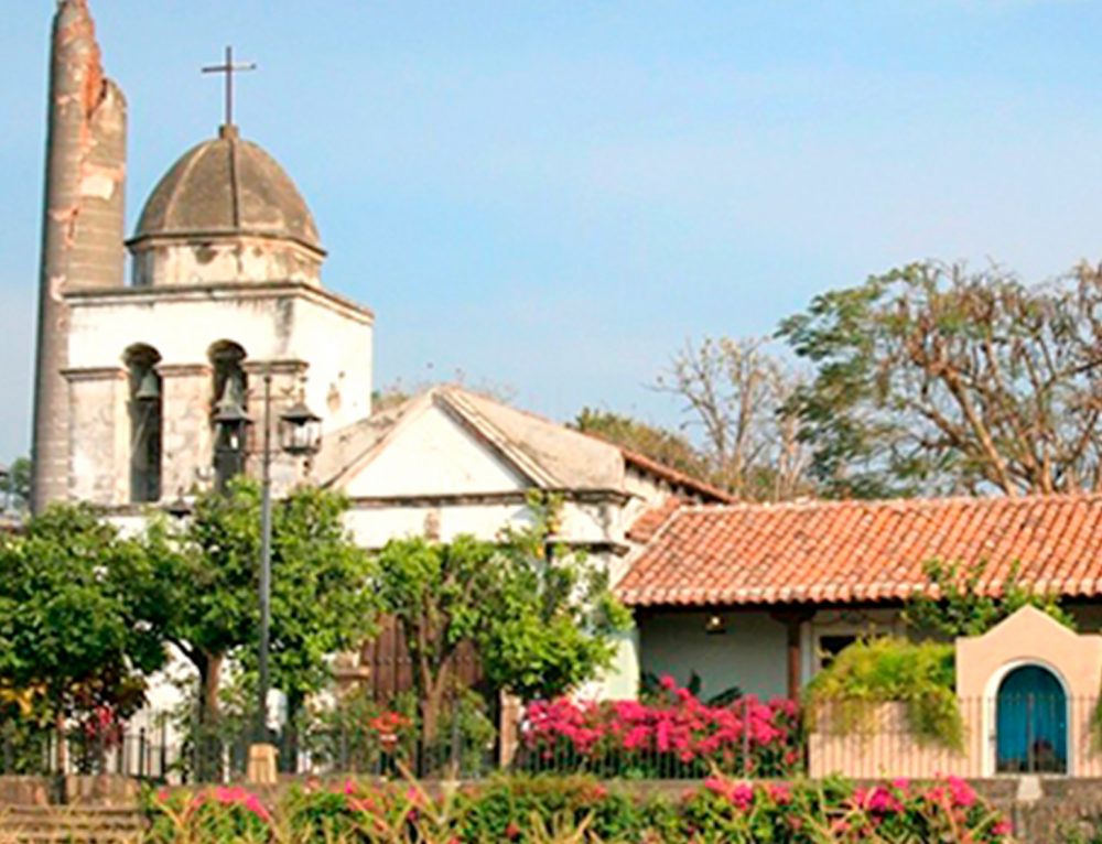 “El guardián”, el árbol centenario que resguarda al volcán de Colima ...